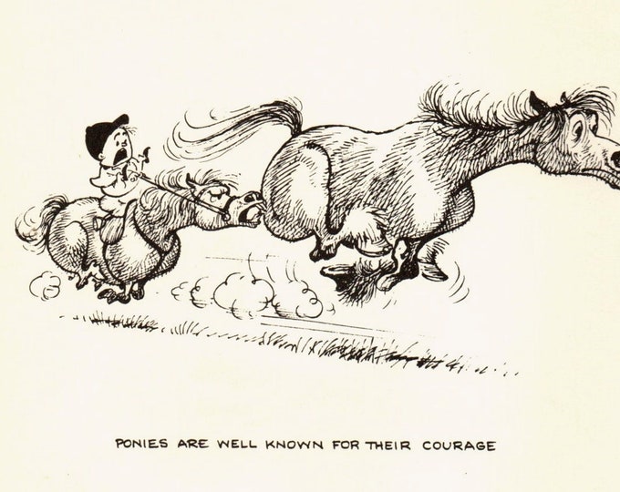Original 1965 Funny THELWELL HORSE / PONY Vintage Art Cartoon - Etsy
