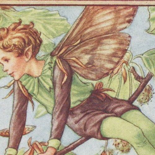 Flower Fairies: the ASH TREE FAIRY Vintage Print C1930 by | Etsy