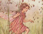 Flower Fairies: the TOTTER-GRASS FAIRY Vintage Print C1930 by - Etsy