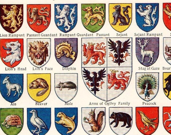 Story of HERALDRY in PICTURES 1920 Vintage Print Original Double-sided ...