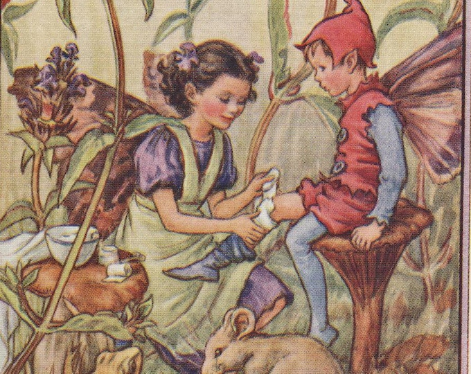 Flower Fairies: the SELF-HEAL FAIRY Vintage Print C1930 by | Etsy