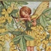 Flower Fairies: THE LABURNUM FAIRY Vintage Print C1930 by Cicely Mary ...