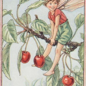 Flower Fairies: the CHERRY TREE FAIRY Vintage Print C1930 by Cicely ...