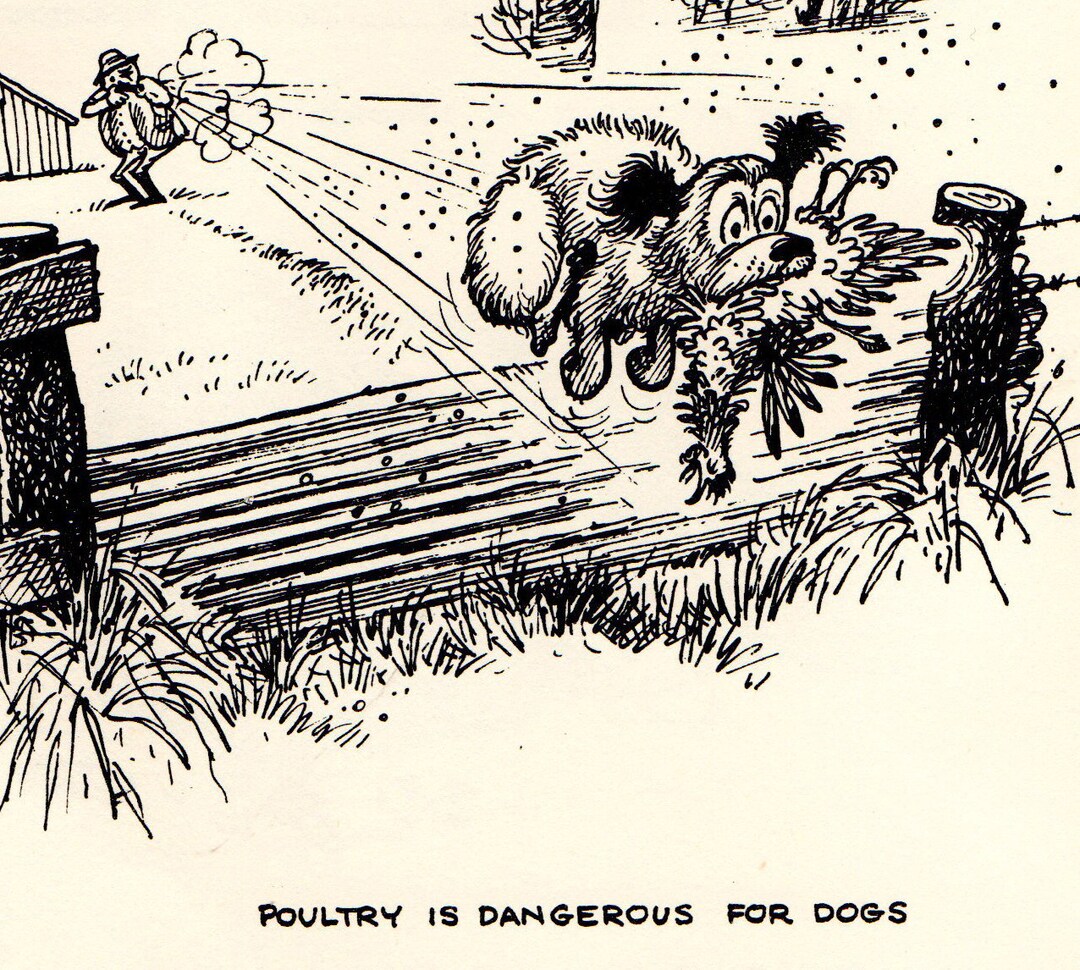 Original Thelwell Comical Dog Print 1964 Vintage Cartoon Art - Etsy UK