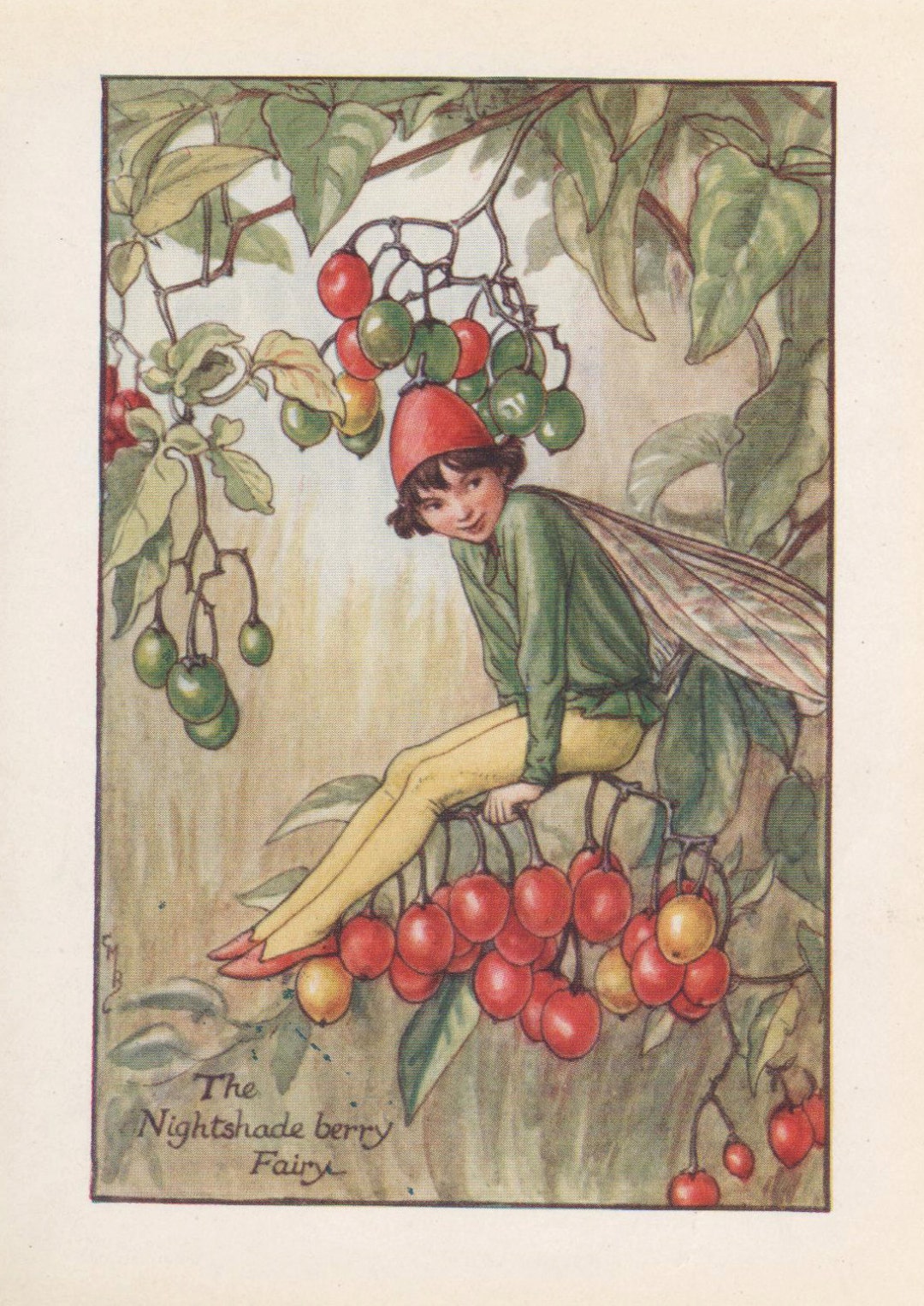 Flower Fairies: the NIGHTSHADE BERRY FAIRY Vintage Print C1930 by ...