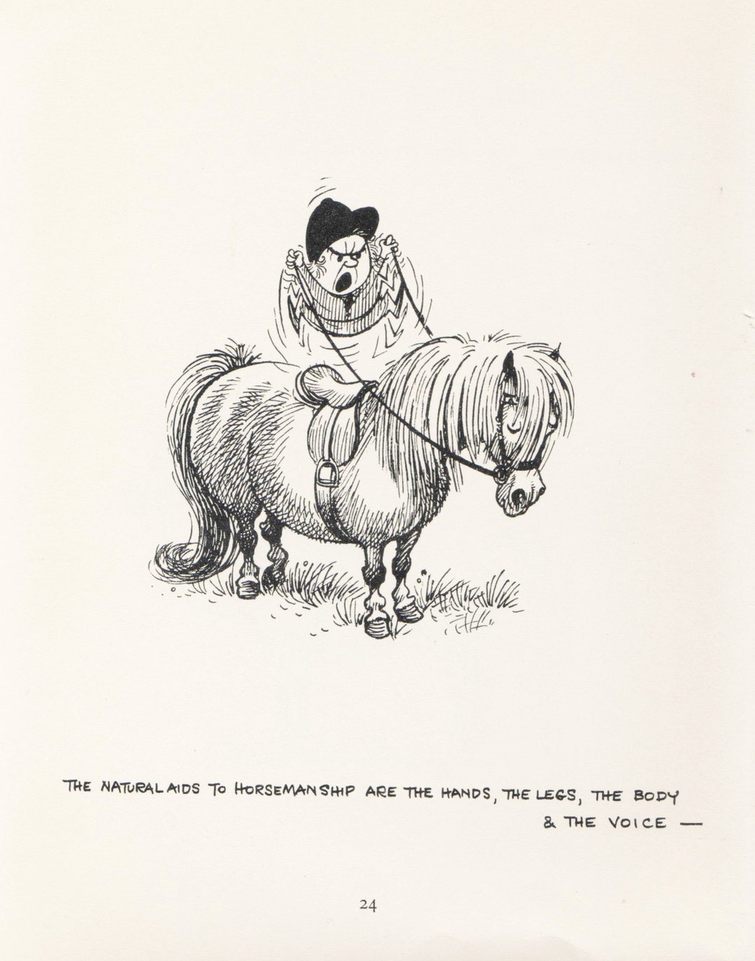 Original 1962 Funny THELWELL HORSE / PONY Vintage Art Cartoon Print - Etsy