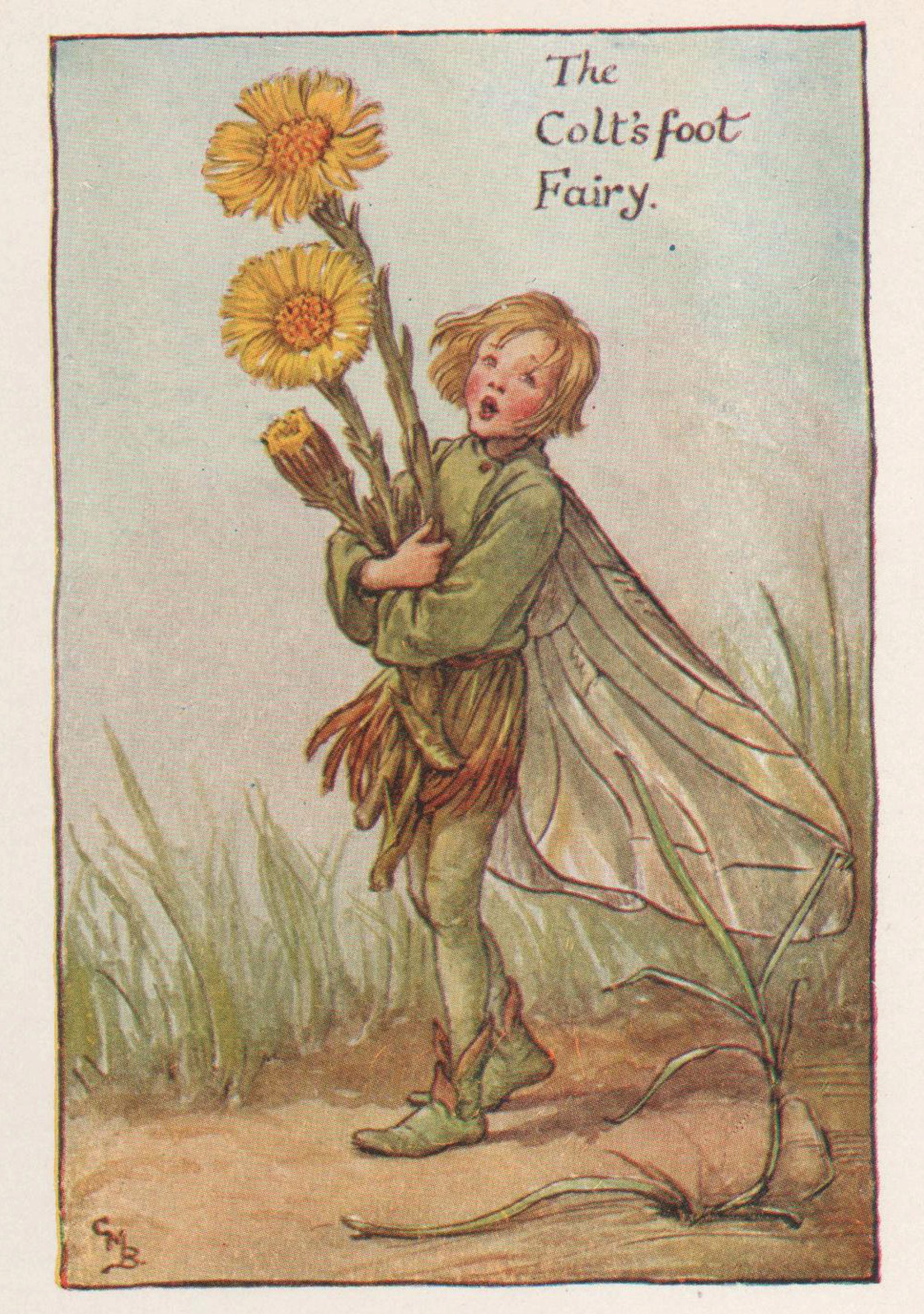 Flower Fairies: the COLT'S FOOT FAIRY Vintage Print C1930 - Etsy