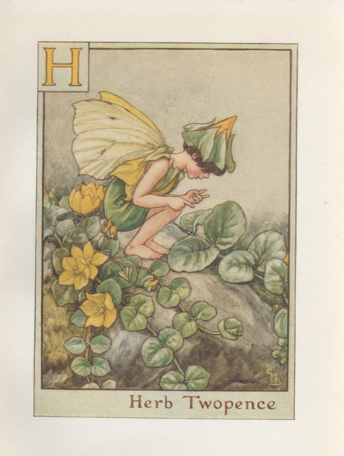 Alphabet Flower Fairies: H for HERB TWOPENCE FAIRY Vintage - Etsy