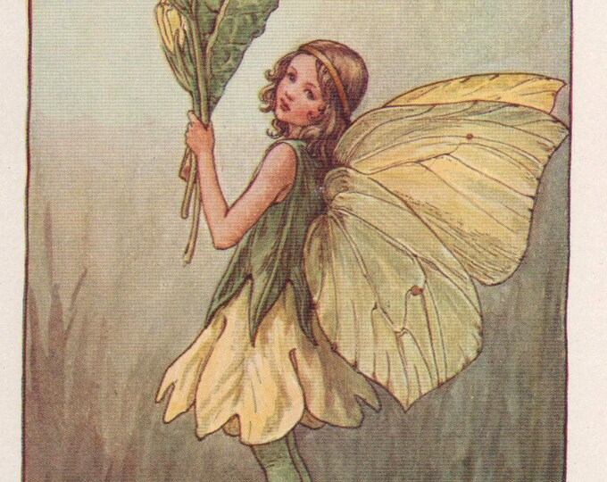 Flower Fairies: the PRIMROSE FAIRY Vintage Print C1930 by Cicely Mary ...