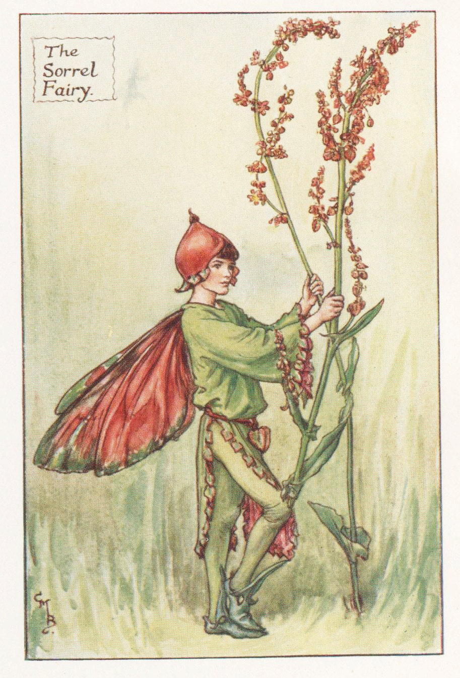 Flower Fairies: THE SORREL FAIRY Vintage Print c1930 by Cicely | Etsy