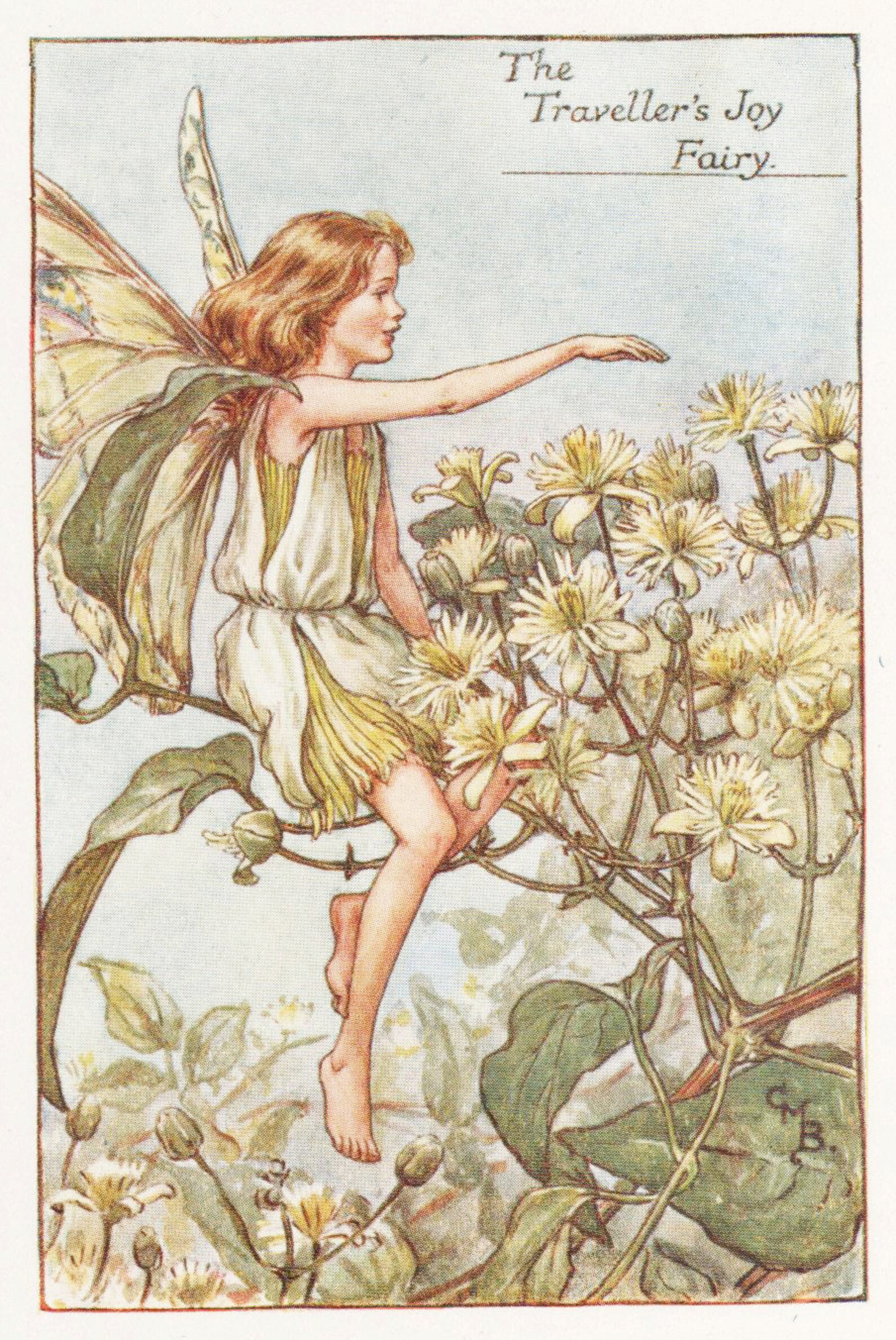 Flower Fairies: the TRAVELLER'S JOY FAIRY Vintage Print C1930 by Cicely ...