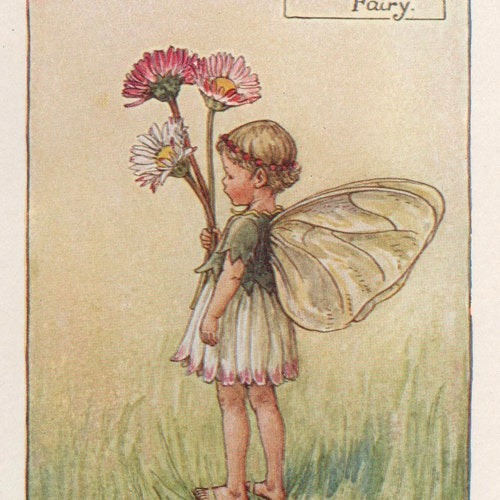 Flower Fairies The Willow Fairy Vintage Print C1930 By Cicely Etsy