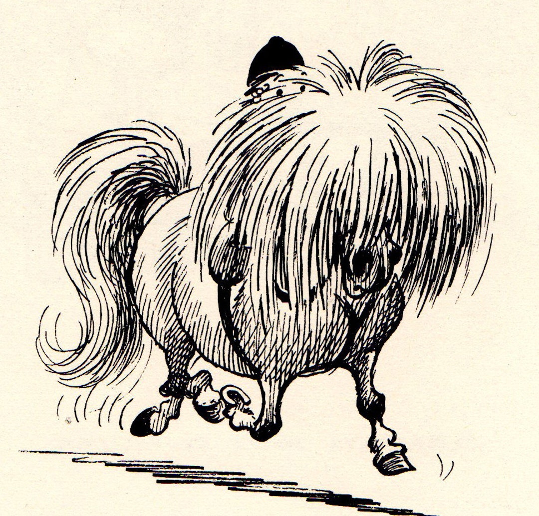Original 1962 Funny THELWELL HORSE / PONY Vintage Art Cartoon Print - Etsy