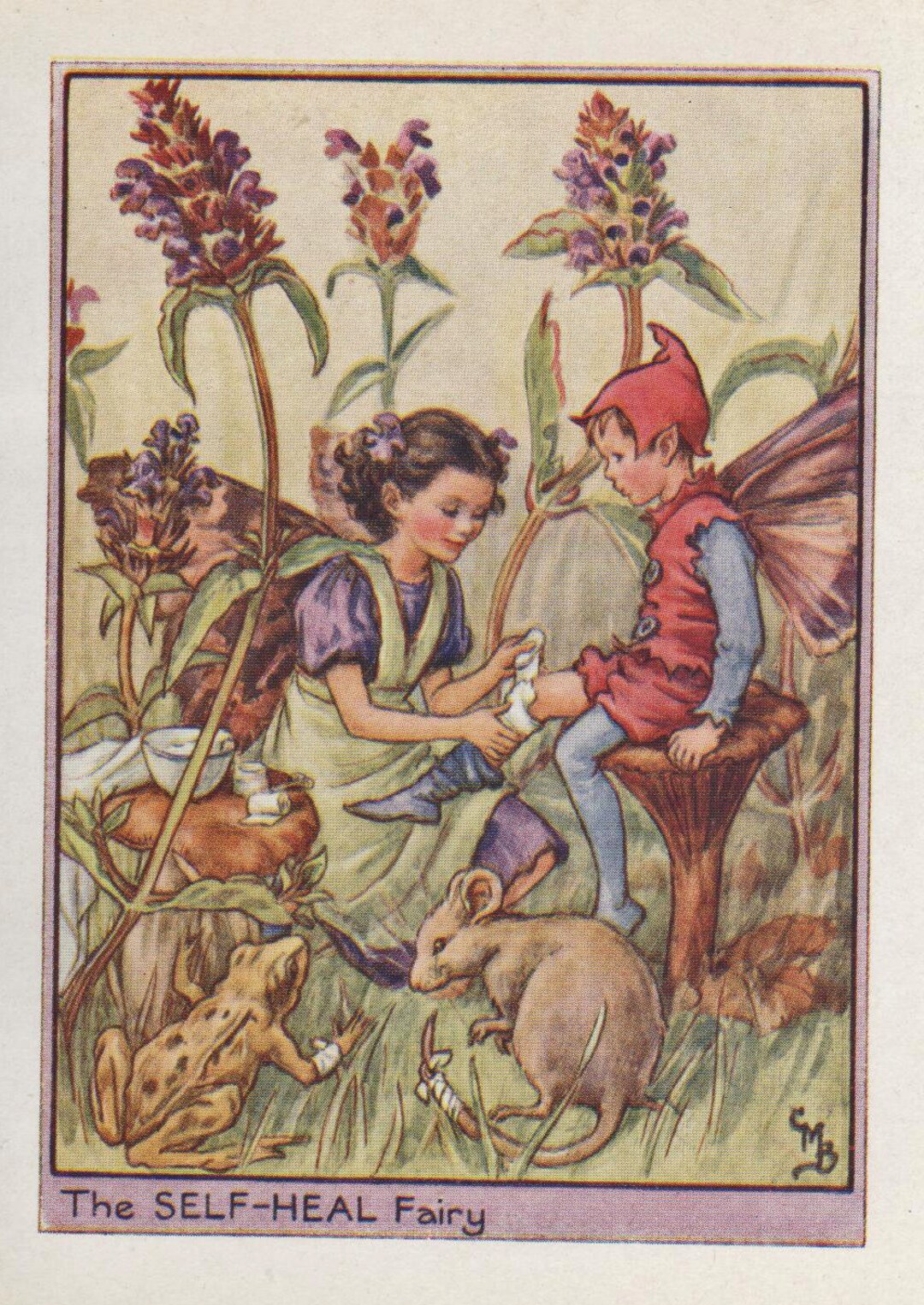 Flower Fairies: the SELF-HEAL FAIRY Vintage Print C1930 by Cicely Mary ...