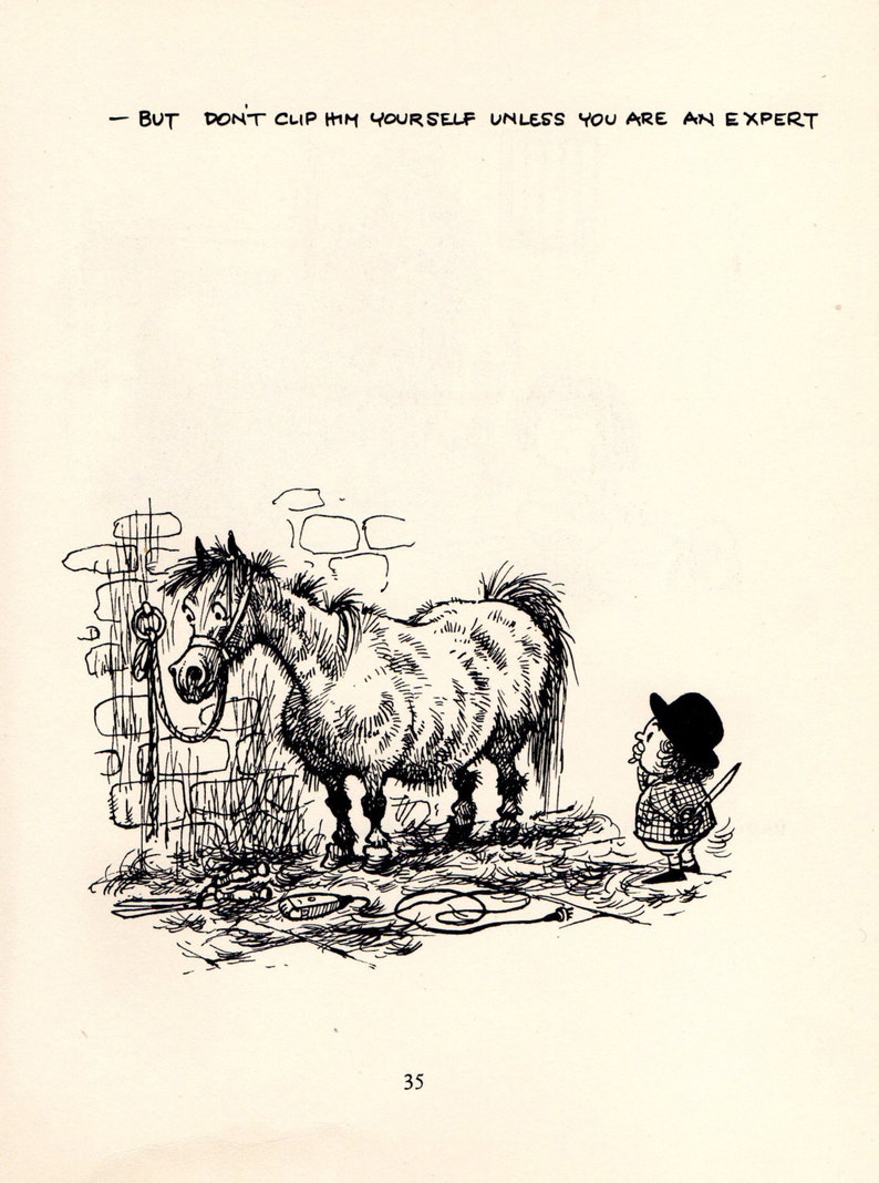 Original 1962 Funny THELWELL HORSE / PONY Vintage Art Cartoon Print - Etsy