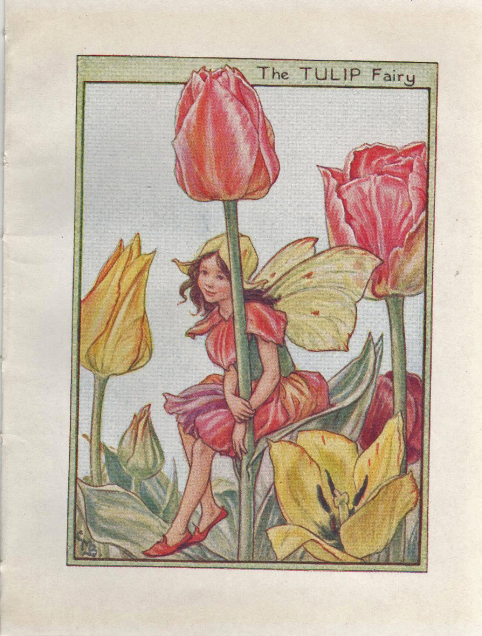 Flower Fairies: THE TULIP FAIRY Vintage Print C1930 by Cicely - Etsy ...