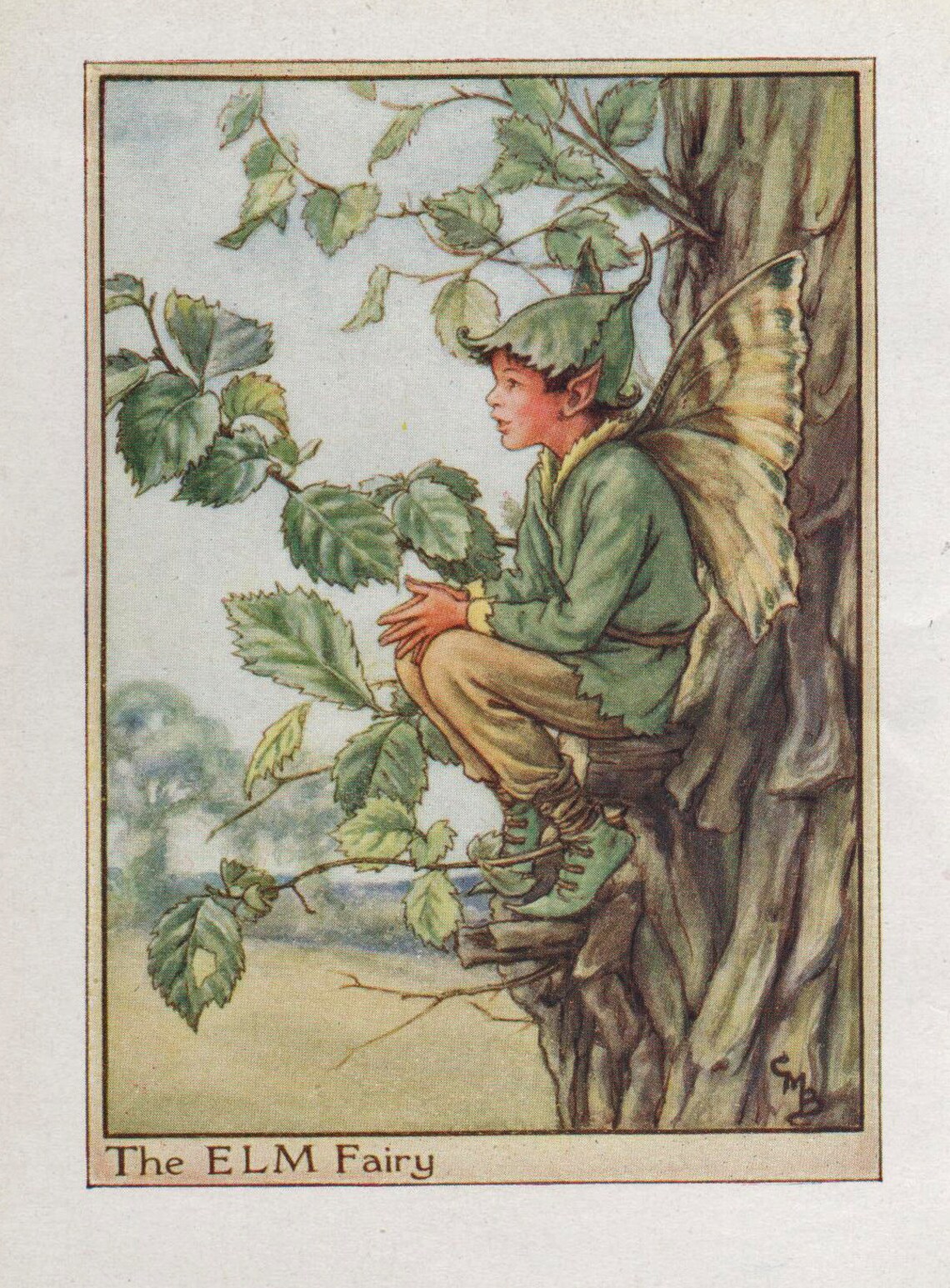 Flower Fairies: the ELM TREE FAIRY Vintage Print C1930 by Cicely Mary ...