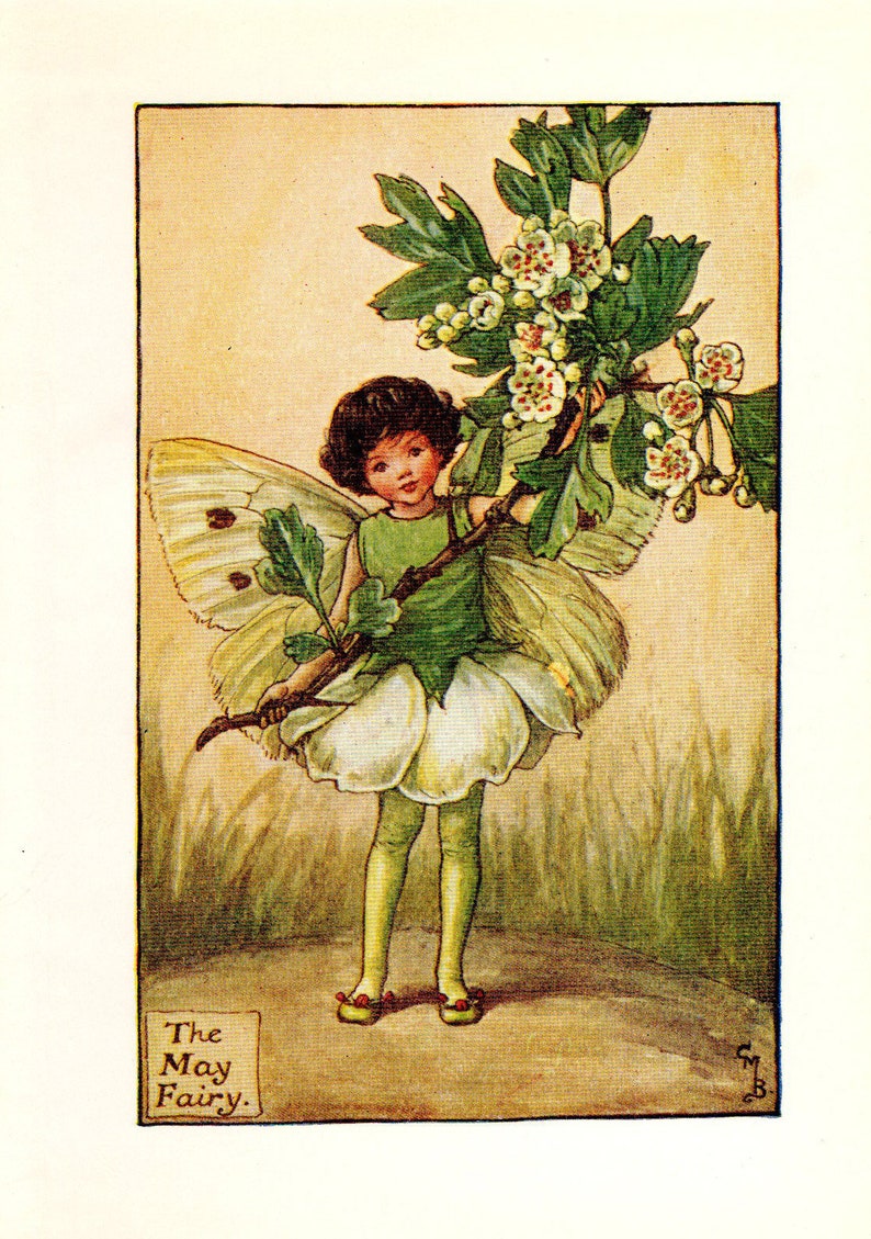 Flower Fairies: the MAY FAIRY Vintage Print C1930 by Cicely Mary Barker ...