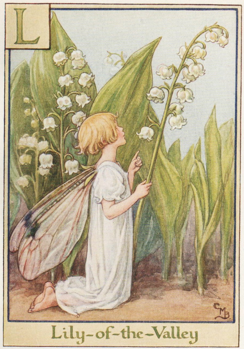 Alphabet Flower Fairies: L for Lily-of-the-valley FAIRY | Etsy