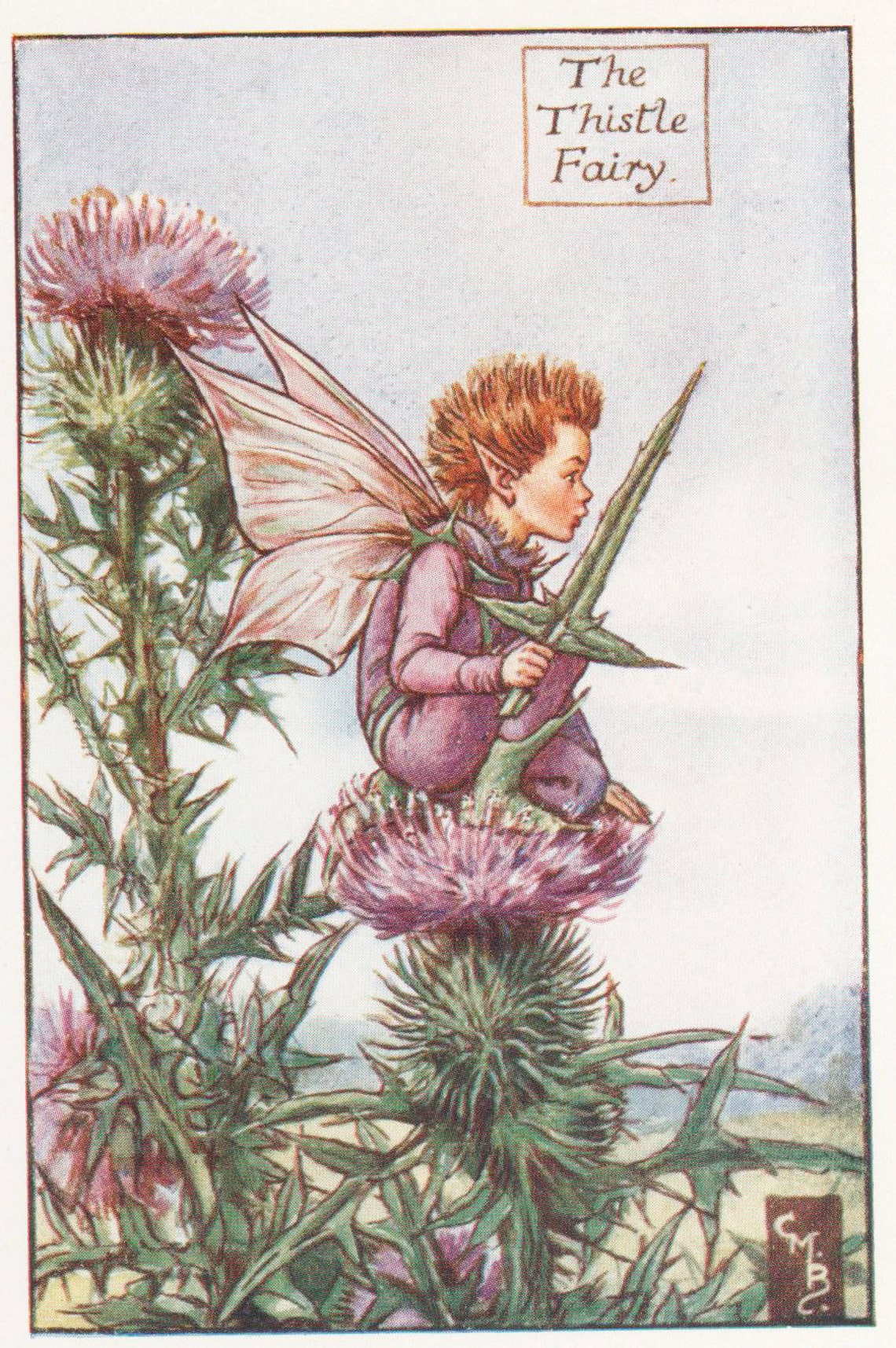 Flower Fairies: THE THISTLE FAIRY Vintage Print C1930 by Cicely Mary ...
