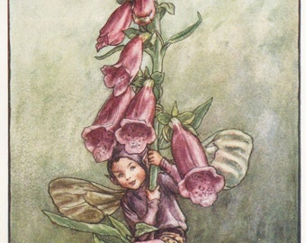 Flower Fairies: the GERANIUM FAIRY Vintage Print C1930 by - Etsy