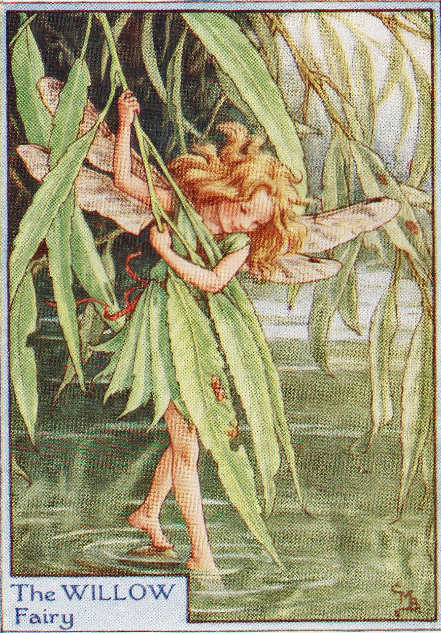 Flower Fairies: THE WILLOW FAIRY Vintage Print C1930 by Cicely - Etsy