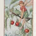 Flower Fairies: the CHERRY TREE FAIRY Vintage Print C1930 by Cicely ...