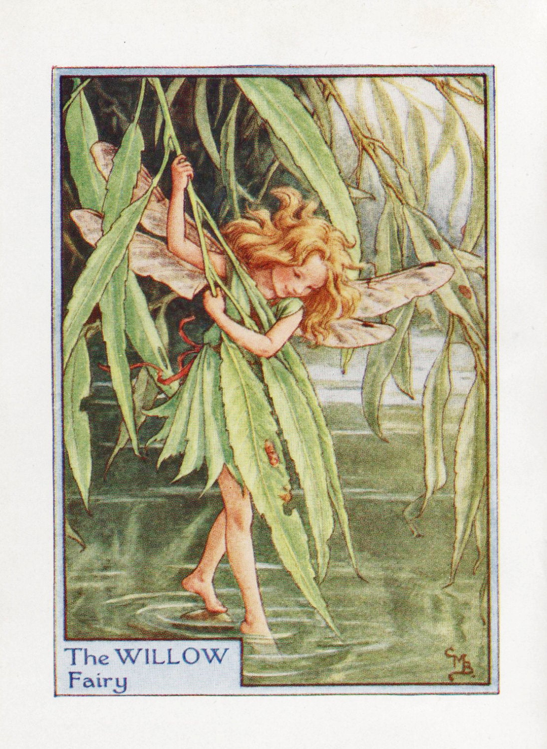 Flower Fairies: THE WILLOW FAIRY Vintage Print C1930 by Cicely - Etsy