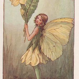 Flower Fairies: the PRIMROSE FAIRY Vintage Print C1930 by Cicely Mary ...