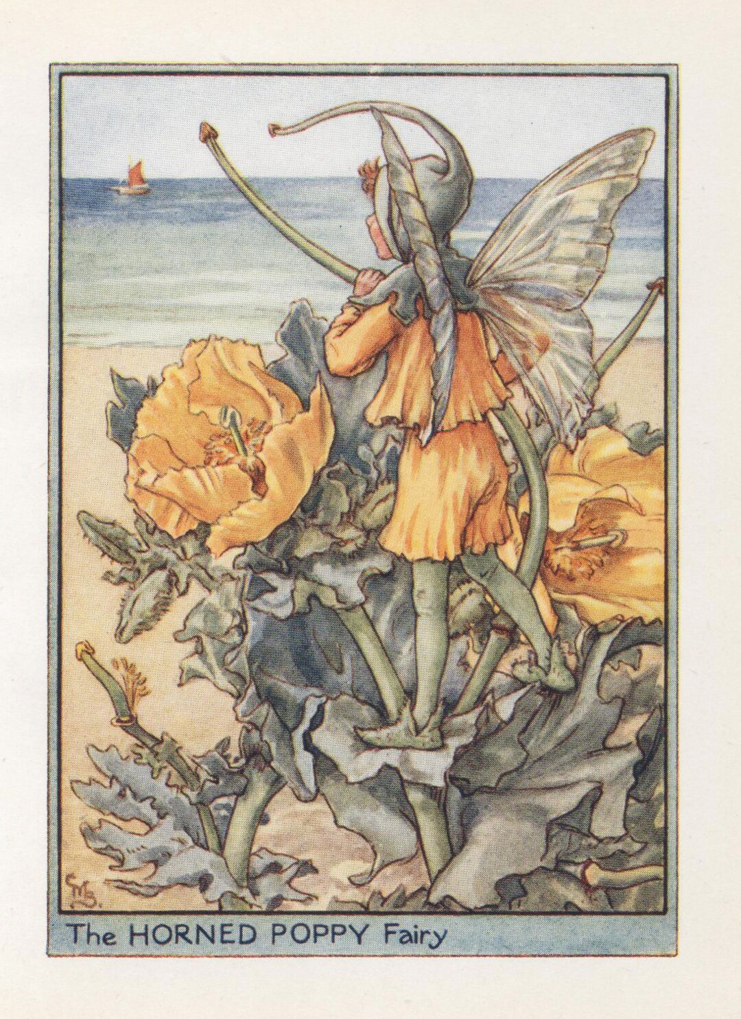 Flower Fairies: the HORNED POPPY FAIRY Vintage Print C1930 by Cicely ...