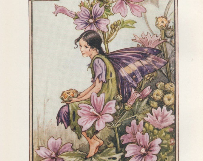 Alphabet Flower Fairies: M for MALLOW FLOWER FAIRY Vintage Print C1930 ...
