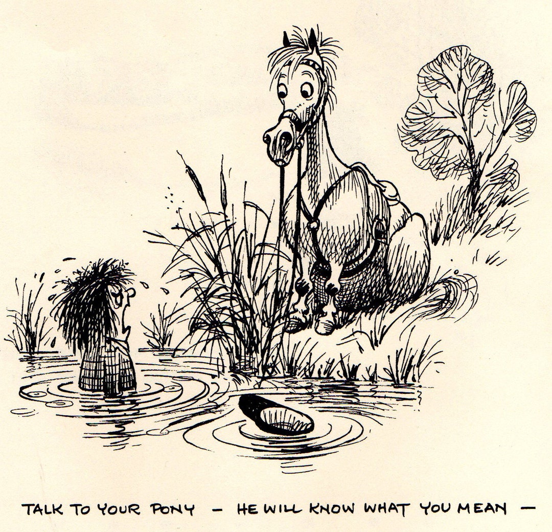 Original 1962 Funny THELWELL HORSE / PONY Vintage Art Cartoon Print - Etsy