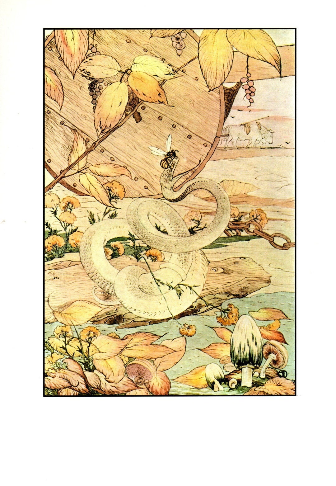 Vintage Fables Art Print: Wasp and Snake by Detmold, 1976 Bookplate - Etsy