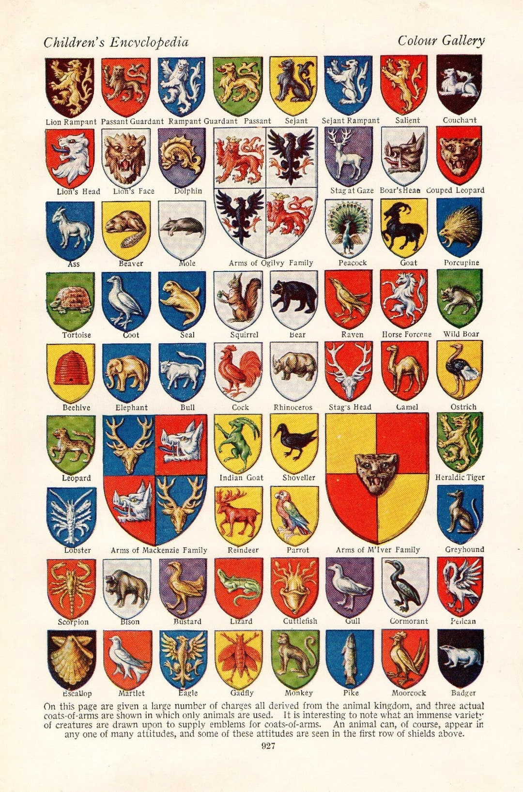 Story of HERALDRY in PICTURES 1920 Vintage Print Original Double-sided ...