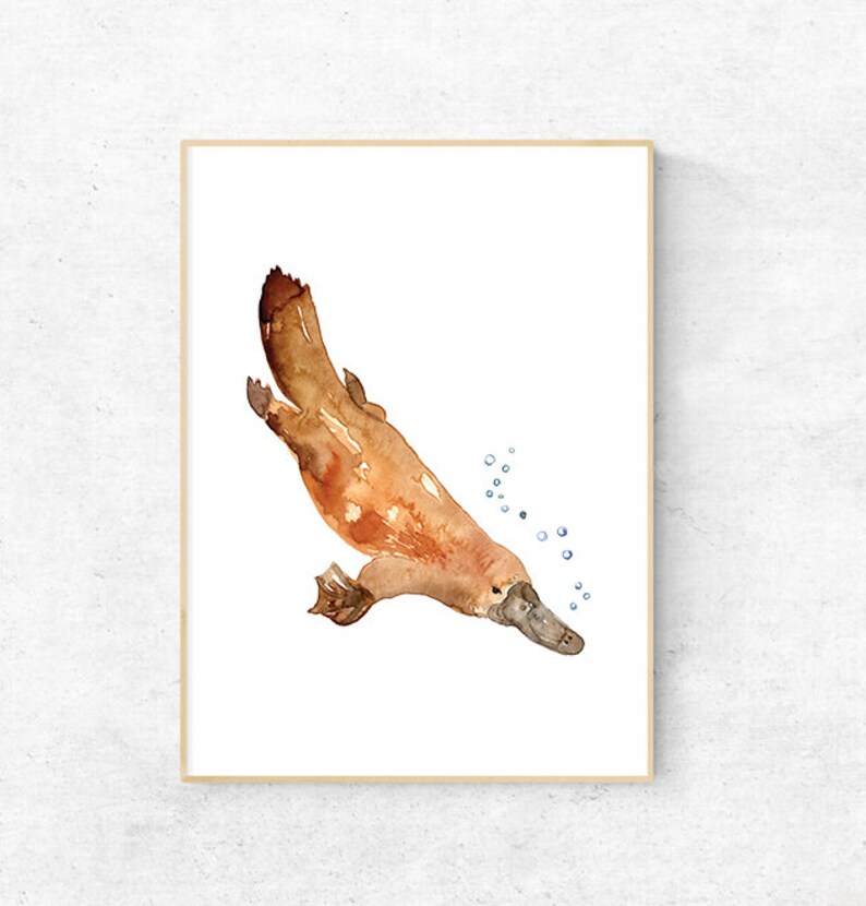 Platypus Watercolour A4 Premium Print | Etsy