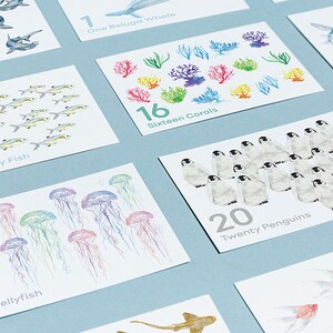1-20 Ocean Creatures Numbers, Printable Digital Flash Cards ...