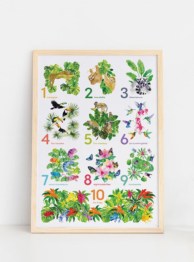 Rainforest Numbers Watercolour Illustration Digital - Etsy Hong Kong