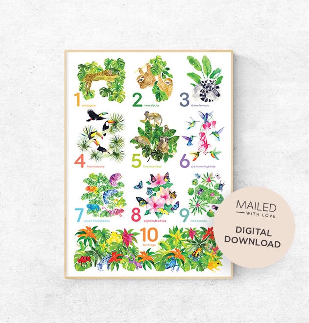 Rainforest Numbers Watercolour Illustration Digital Download - Etsy ...