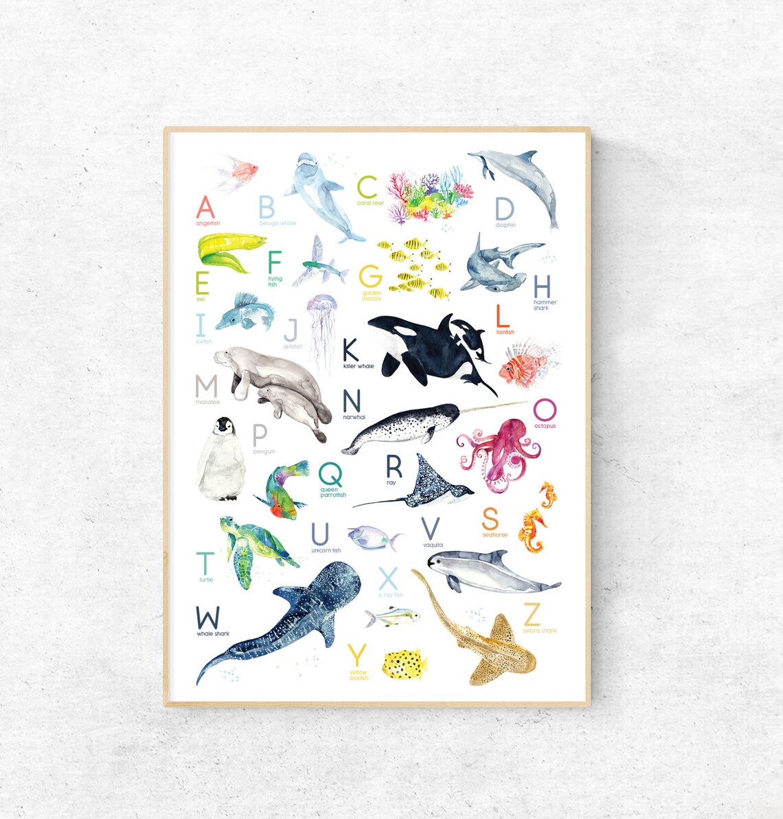 Ocean Sea Life Marine Life Alphabet Watercolour Premium | Etsy