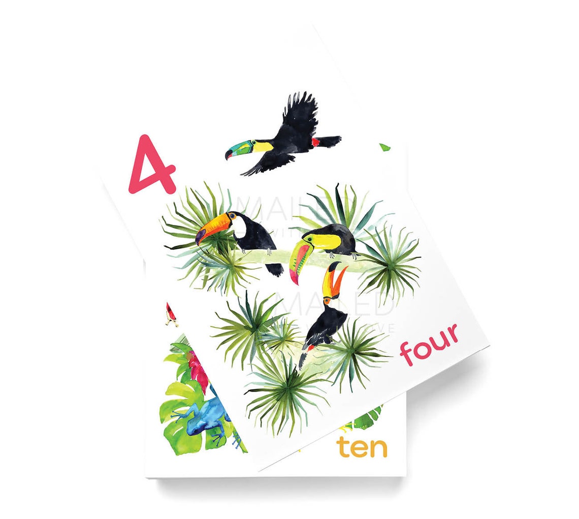 Numbers 1 to 10 Rainforest Animals Printable Digital Flash - Etsy