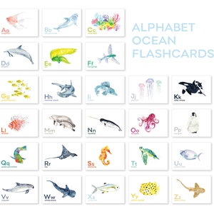 26 Ocean Creatures Alphabet, Printable Digital Flash Cards, Watercolour ...