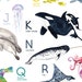 Ocean Sea Life Marine Life Alphabet Watercolour Premium | Etsy