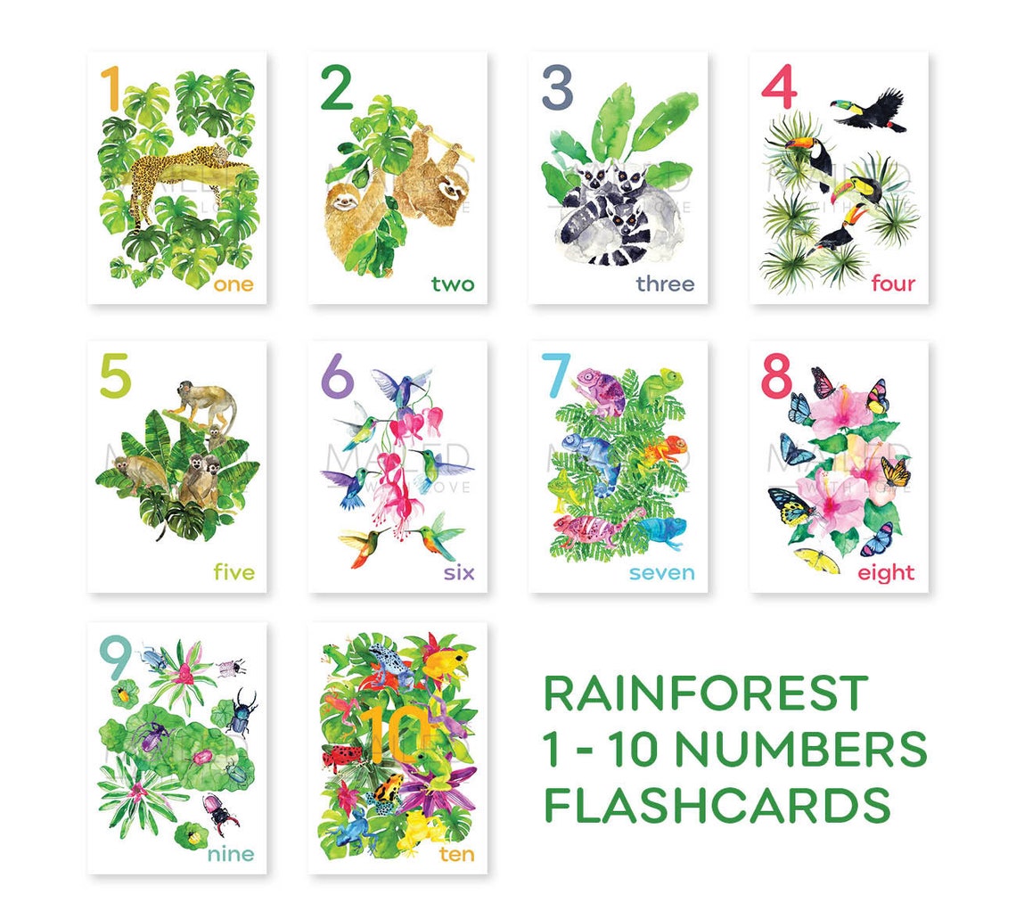 Numbers 1 to 10 Rainforest Animals Printable Digital Flash - Etsy