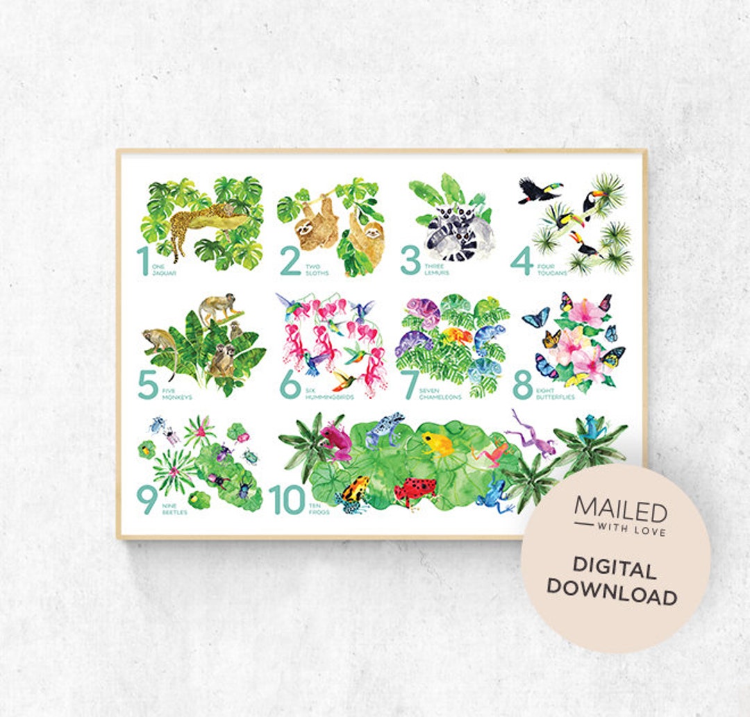 Rainforest Numbers Horizontal Watercolour Illustration Digital Download ...