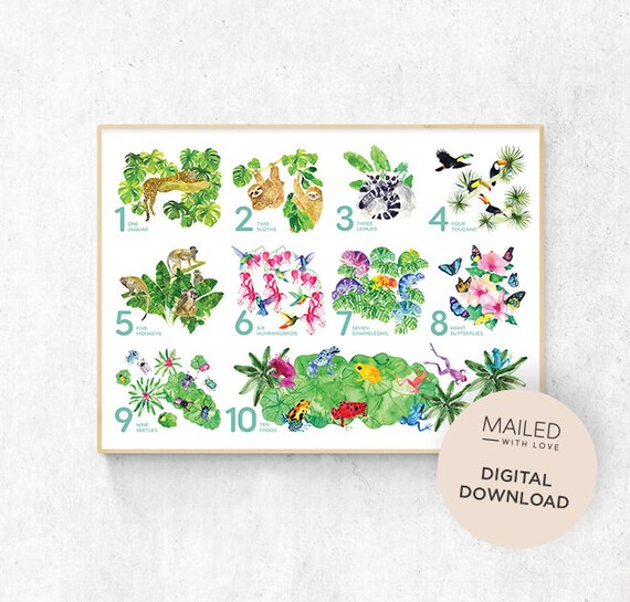Rainforest Numbers Horizontal Watercolour Illustration - Etsy