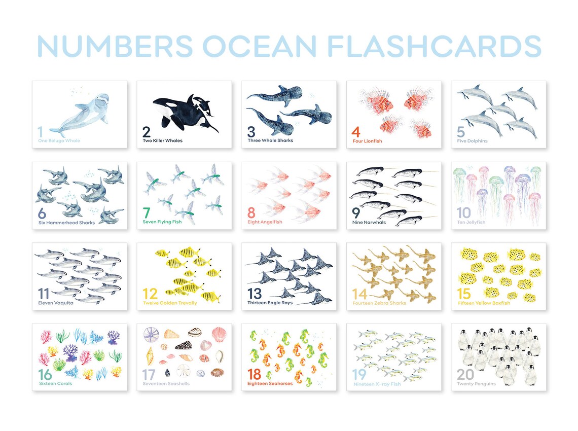 1-20 Ocean Creatures Numbers Printable Digital Flash Cards - Etsy