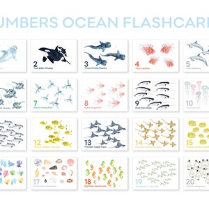 1-20 Ocean Creatures Numbers, Printable Digital Flash Cards ...