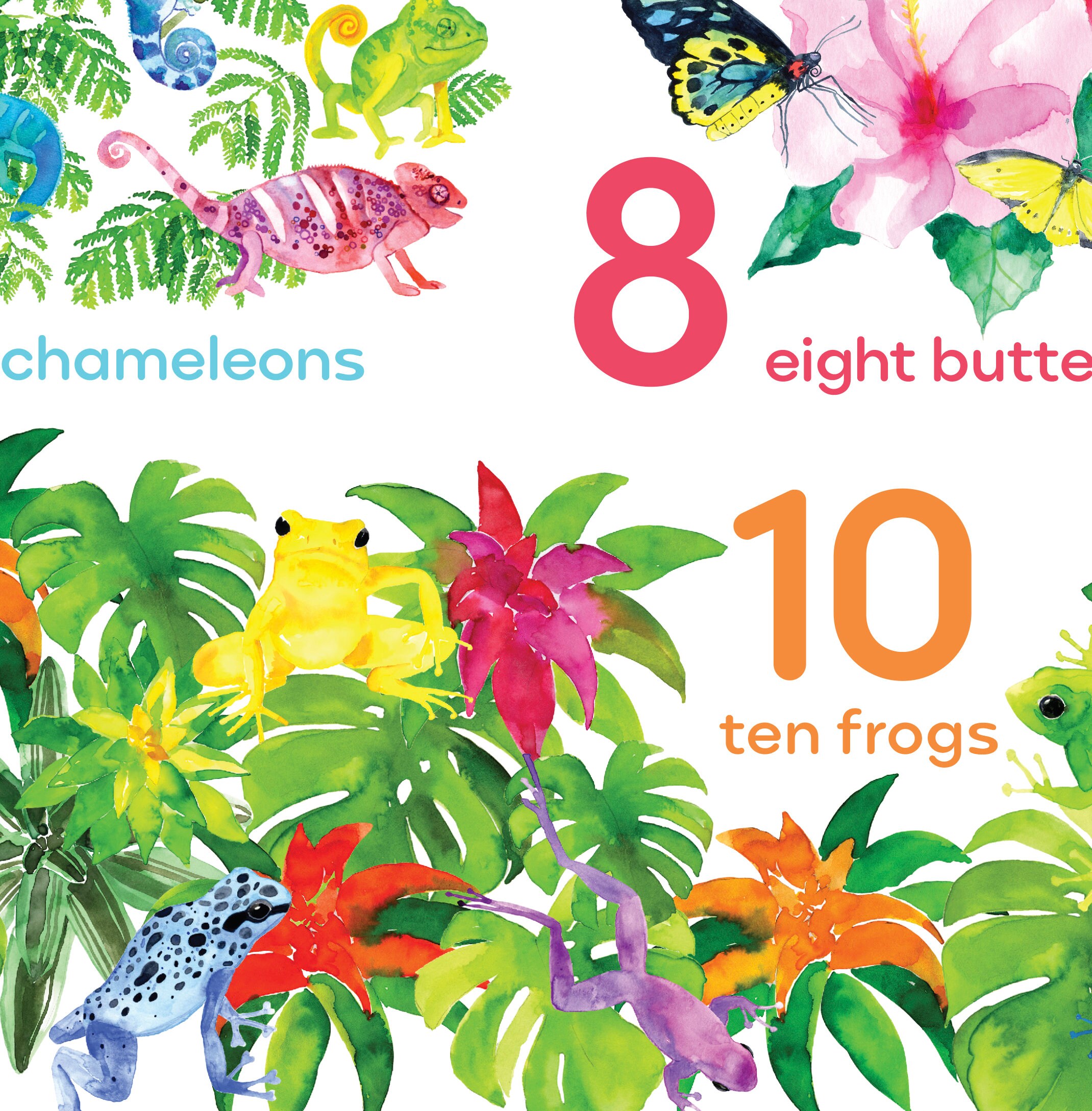 Rainforest Numbers Watercolour Illustration Digital - Etsy Hong Kong
