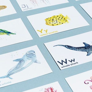 26 Ocean Creatures Alphabet, Printable Digital Flash Cards, Watercolour ...
