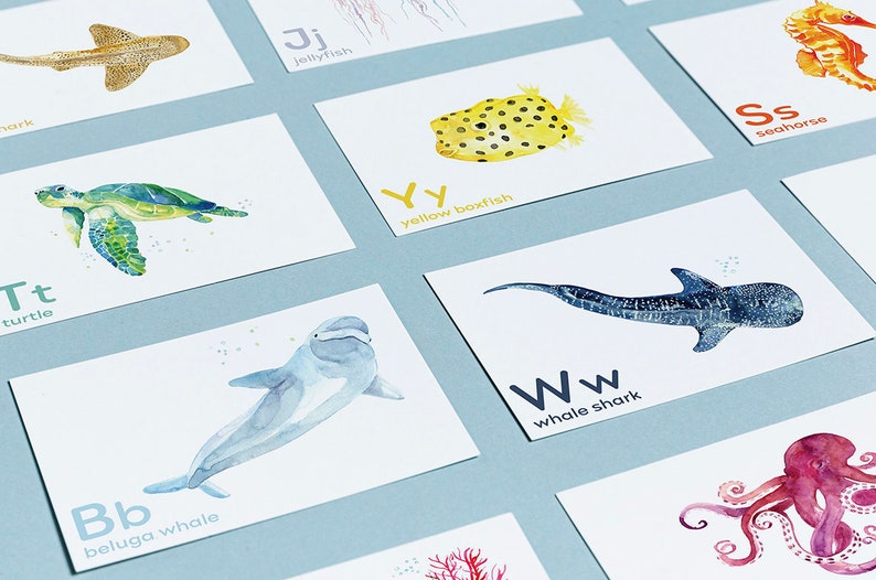 26 Ocean Creatures Alphabet, Printable Digital Flash Cards, Watercolour ...